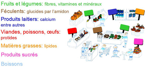 Dossier CertiFerme : Connaître les différents groupes alimentaires pour ...