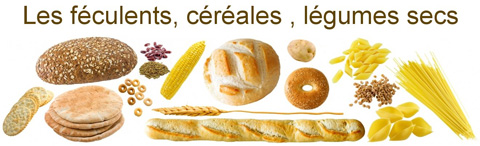 Dossier CertiFerme : Connaître les différents groupes alimentaires pour ...